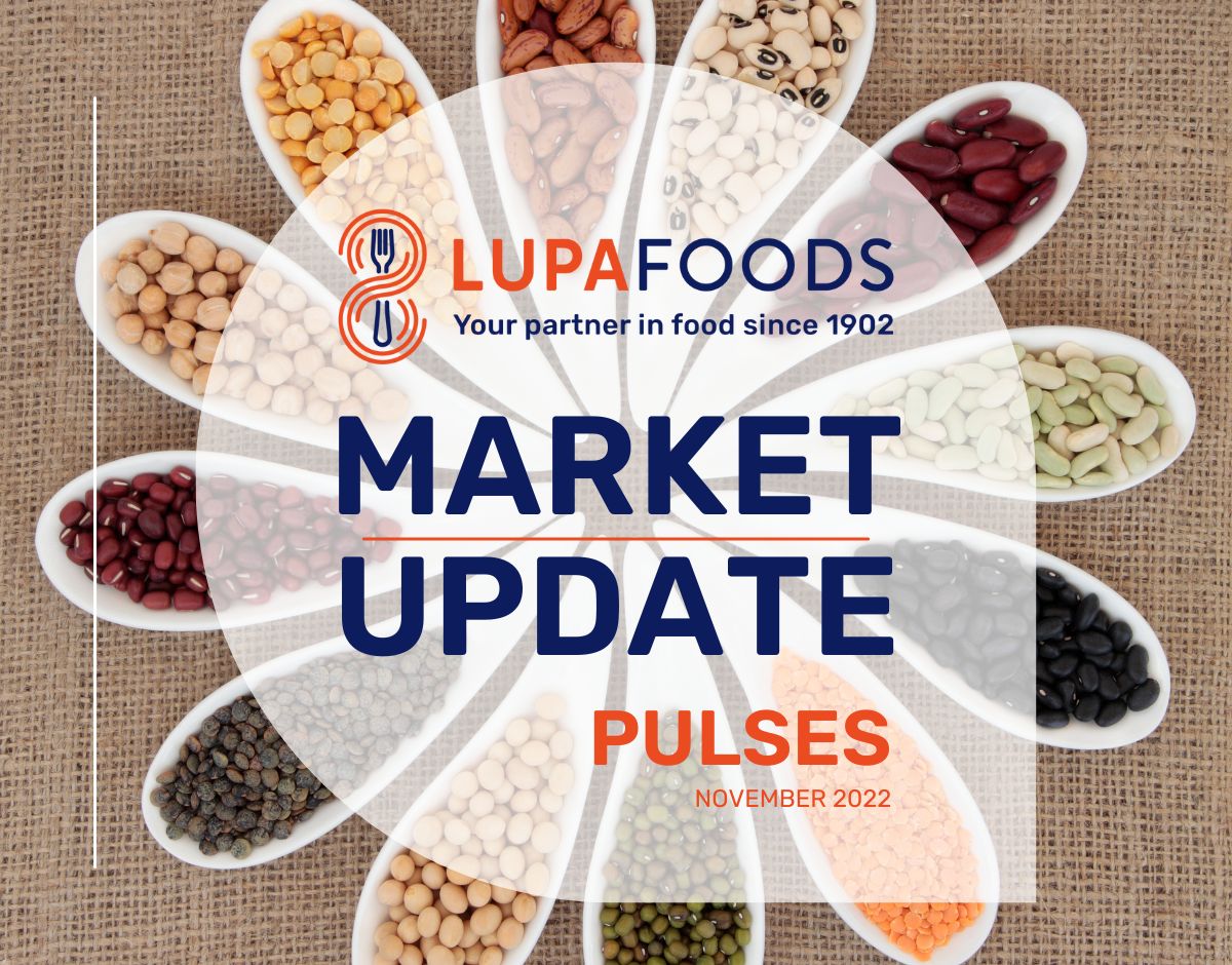 Market Update: Pulses November 2022 | Lupa Foods