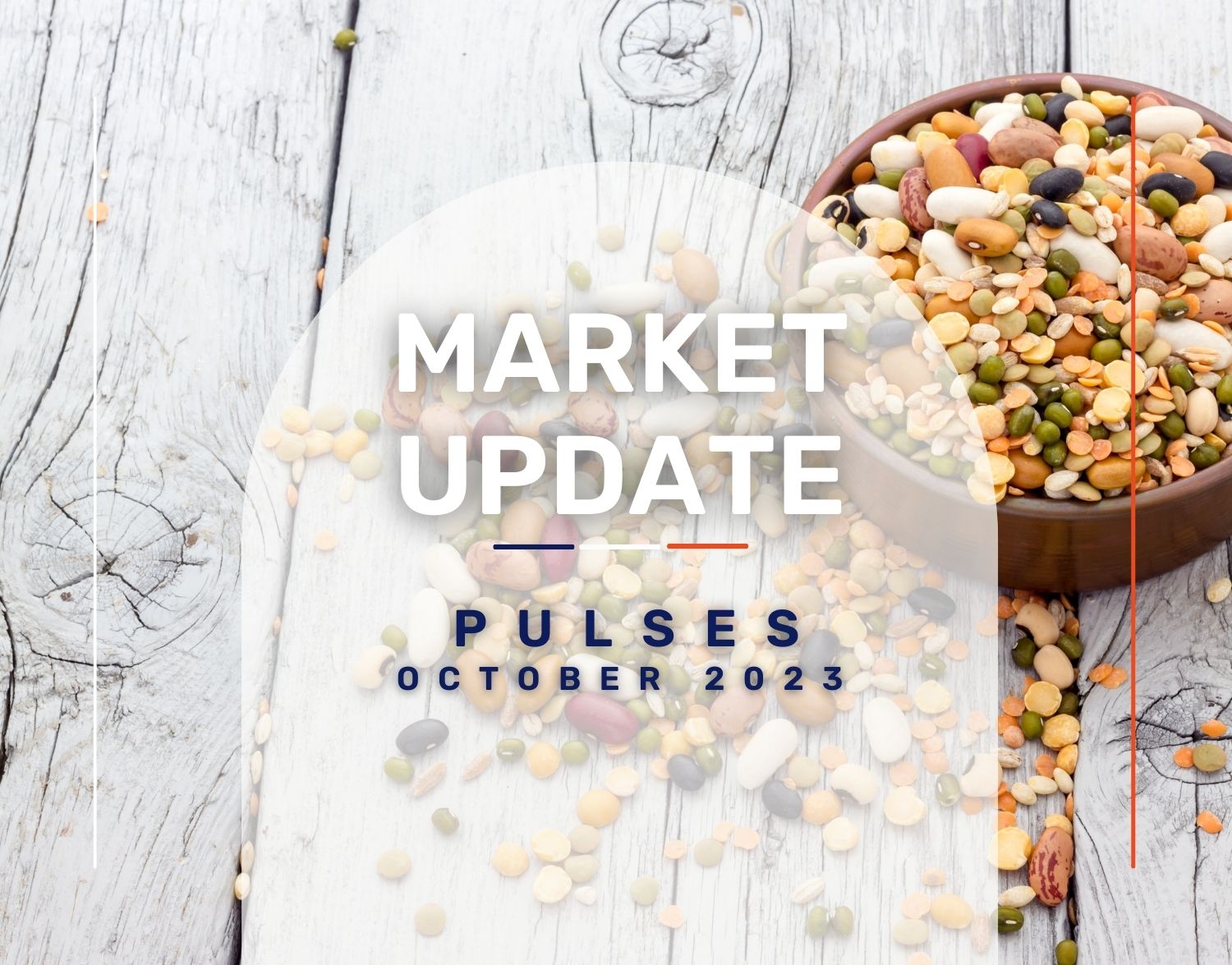 Market Update: Pulses Oct 2023 | Lupa Foods