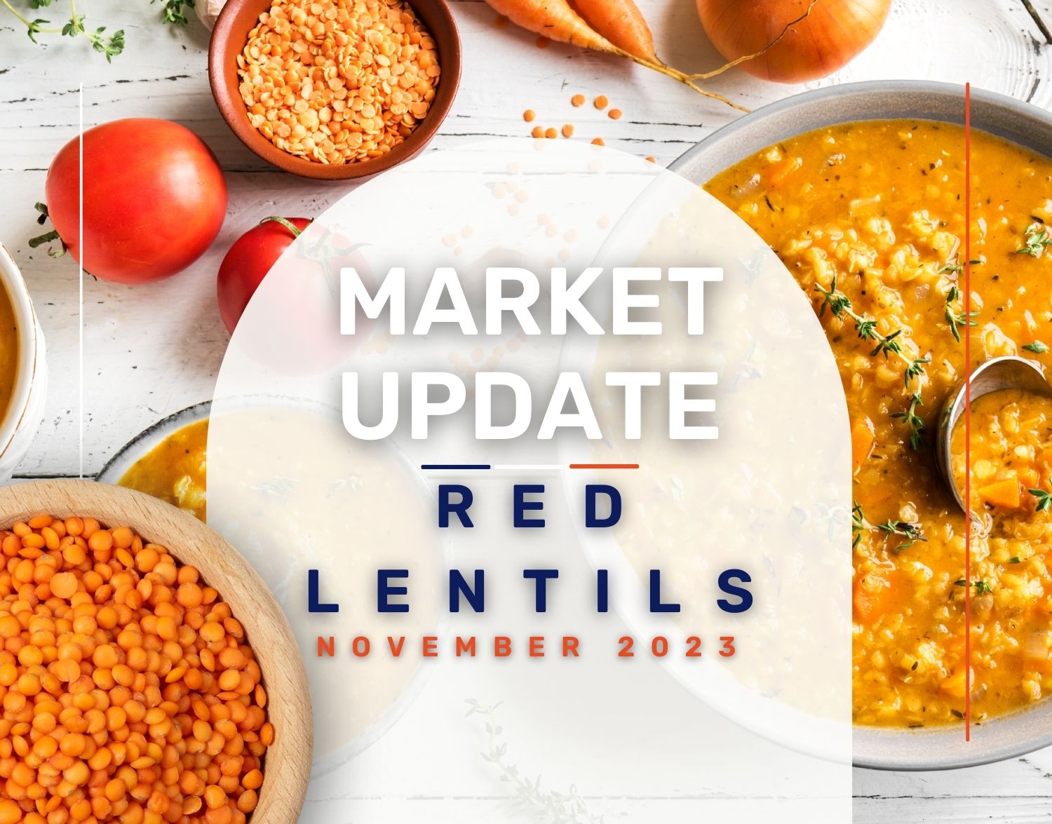 Market Report: Red Lentils November 2023 | Lupa Foods