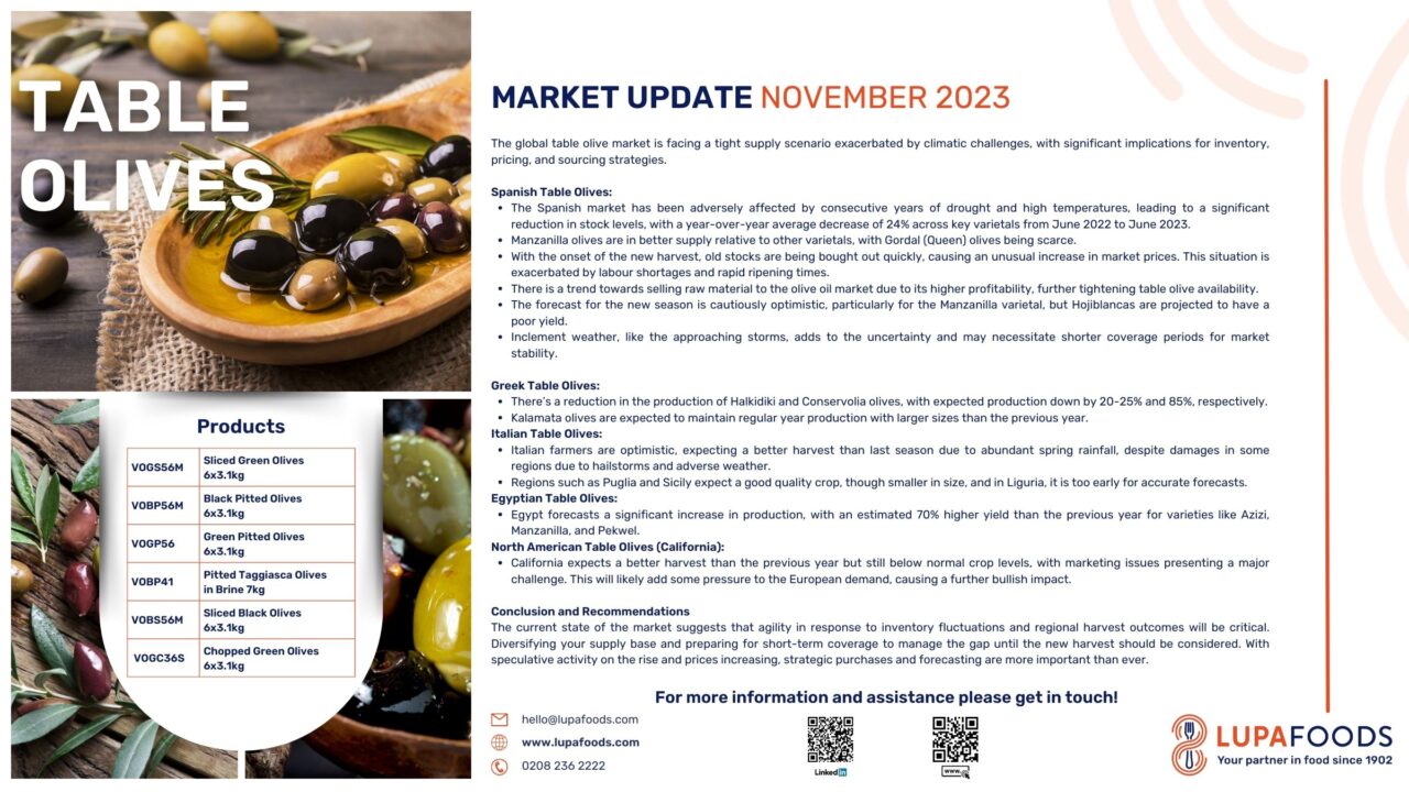 Market Update: Table Olives November 2023 | Lupa Foods