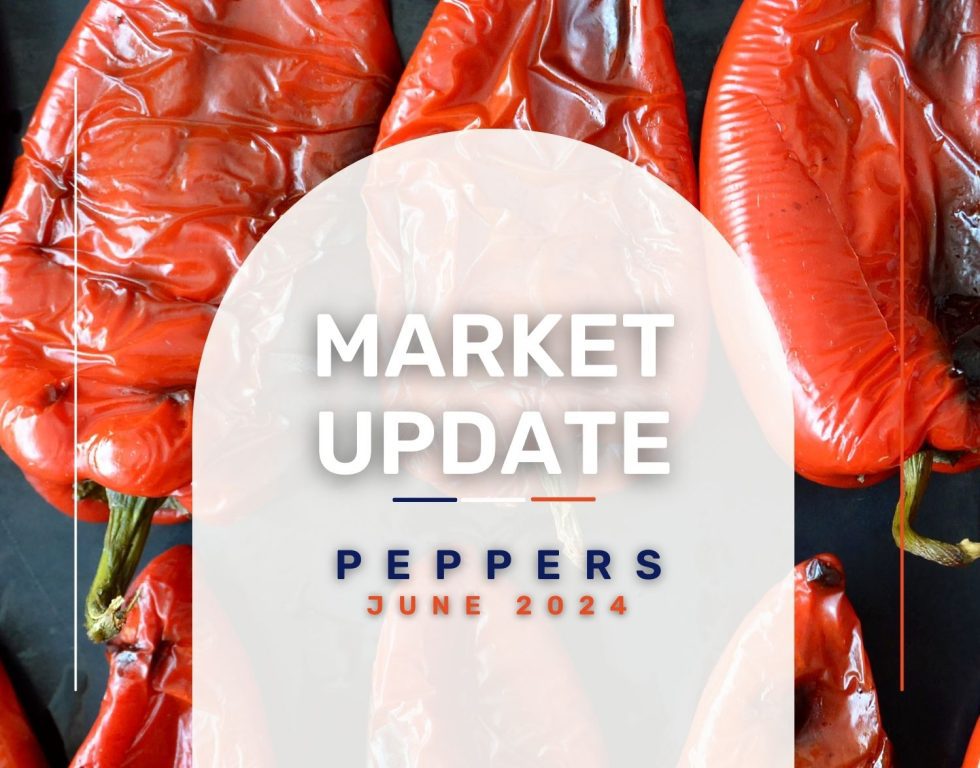 Lupa Foods | UK Food Importer and Distributor since 1902