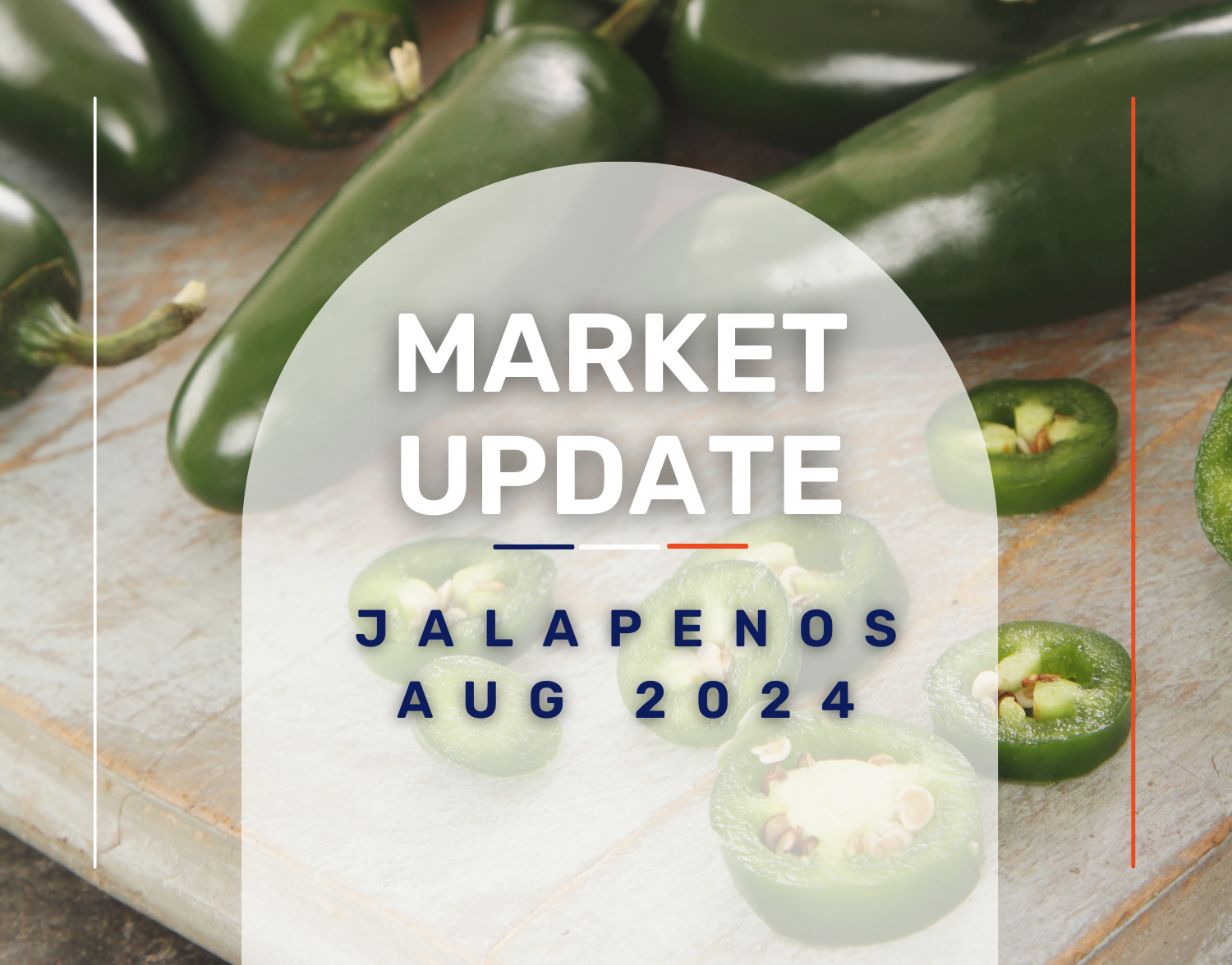 Product Showcase: Rice August 2024 | Lupa Foods