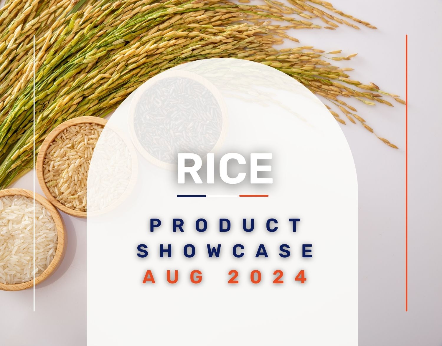 Product Showcase: Rice August 2024 | Lupa Foods
