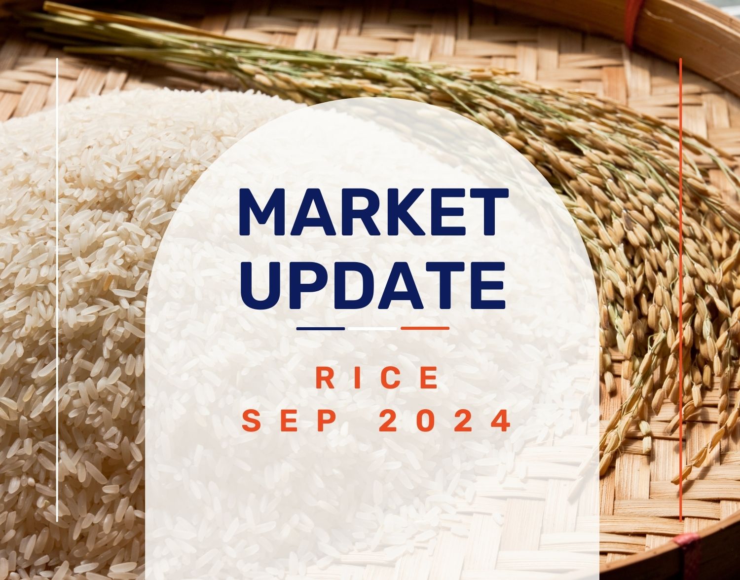 Market Update: Rice September 2024 | Lupa Foods